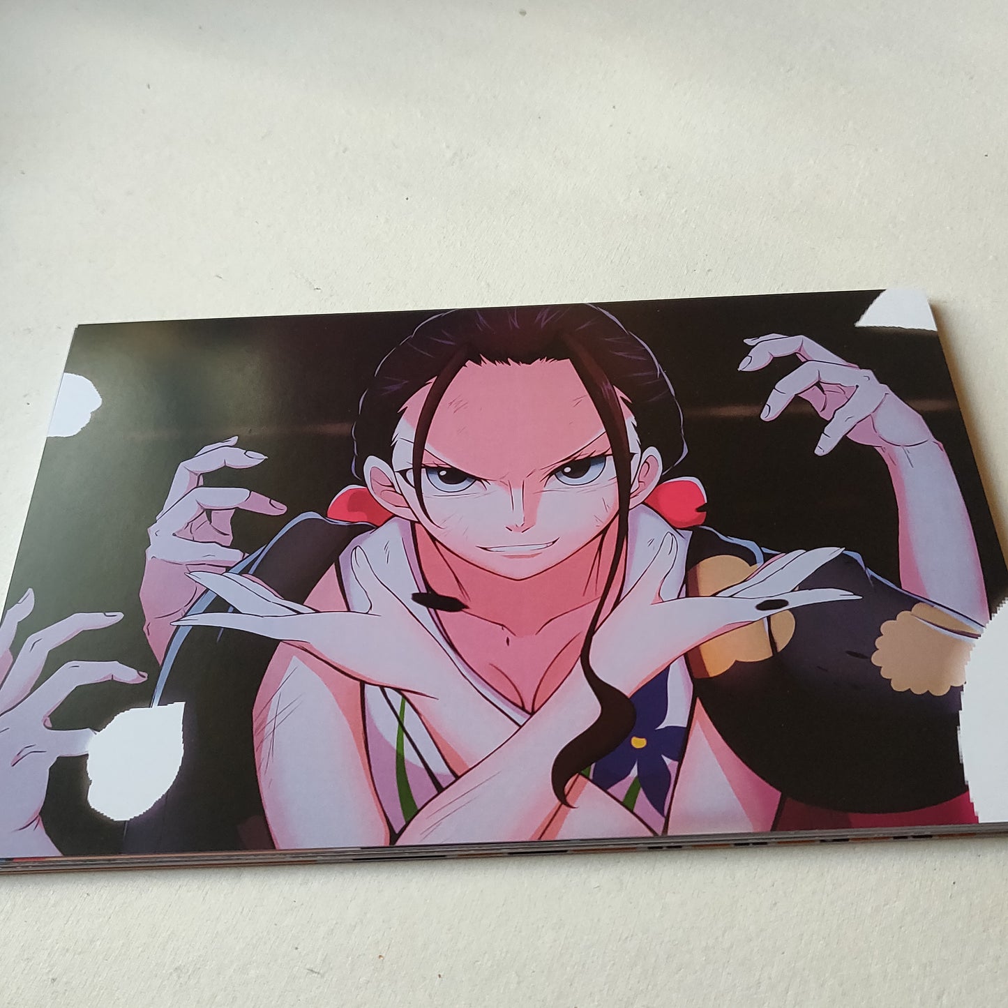 Robin One Piece wall poster | Style 2 – Dipped in Doodles